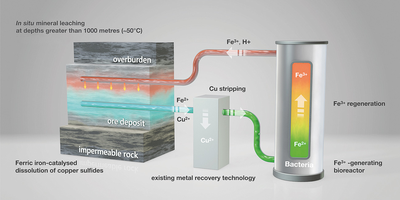 The BIOMOre Project – A New Mining Concept for Extracting Metals from ...