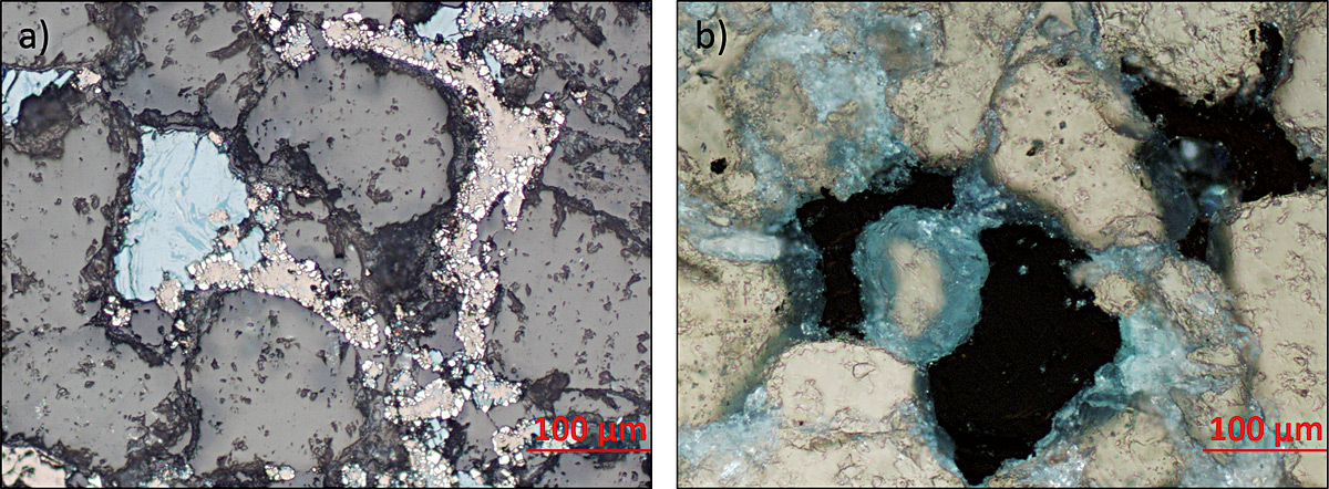 BIOMOre_06 - MINING REPORT